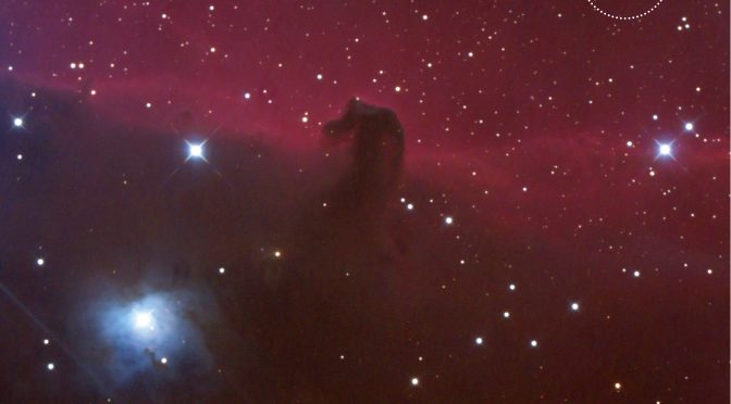 Horsehead through the AT8RC | Simon Todd Astrophotography
